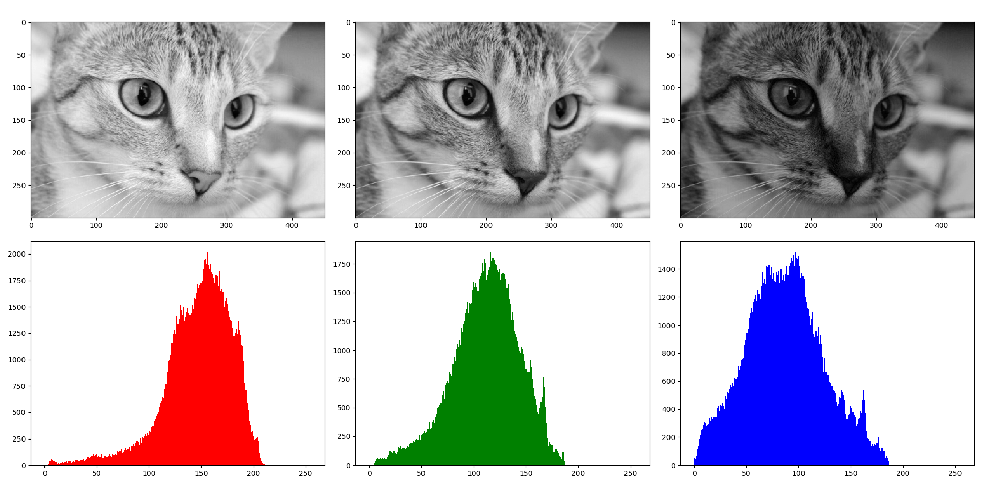Analyzing Image Histograms with scikit-image – Simulation-Based